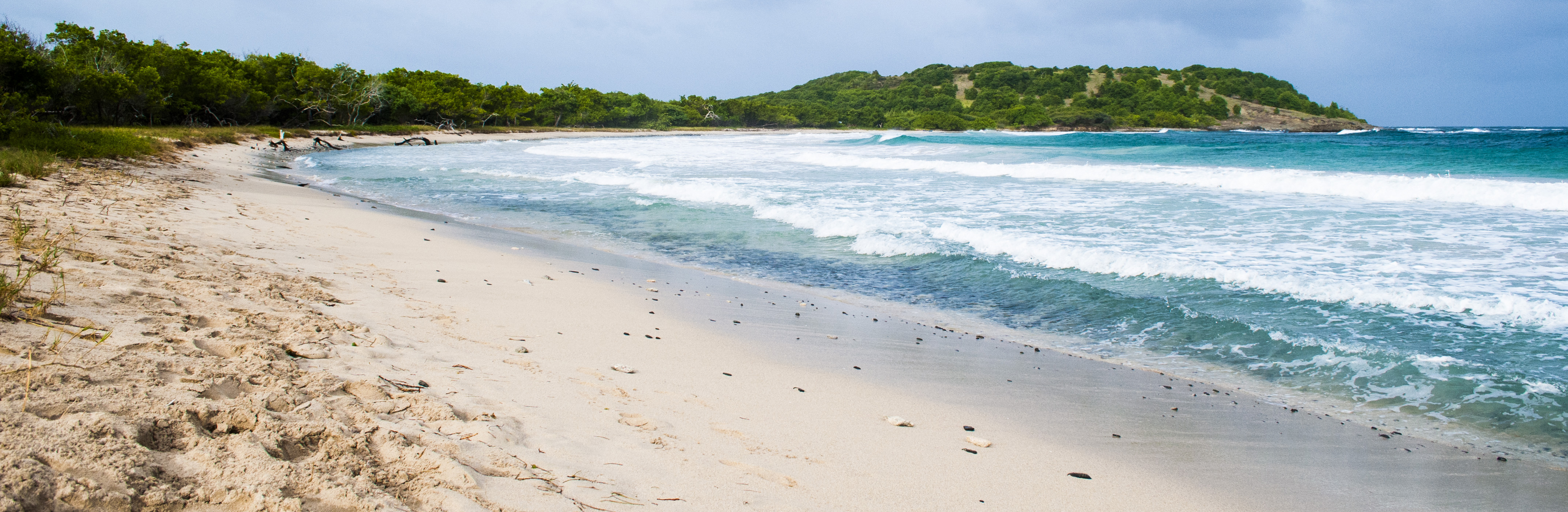 Anse Trabaud | Martinique Tourisme