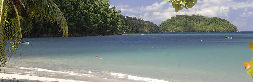 Anse A L'ane | Martinique Tourisme