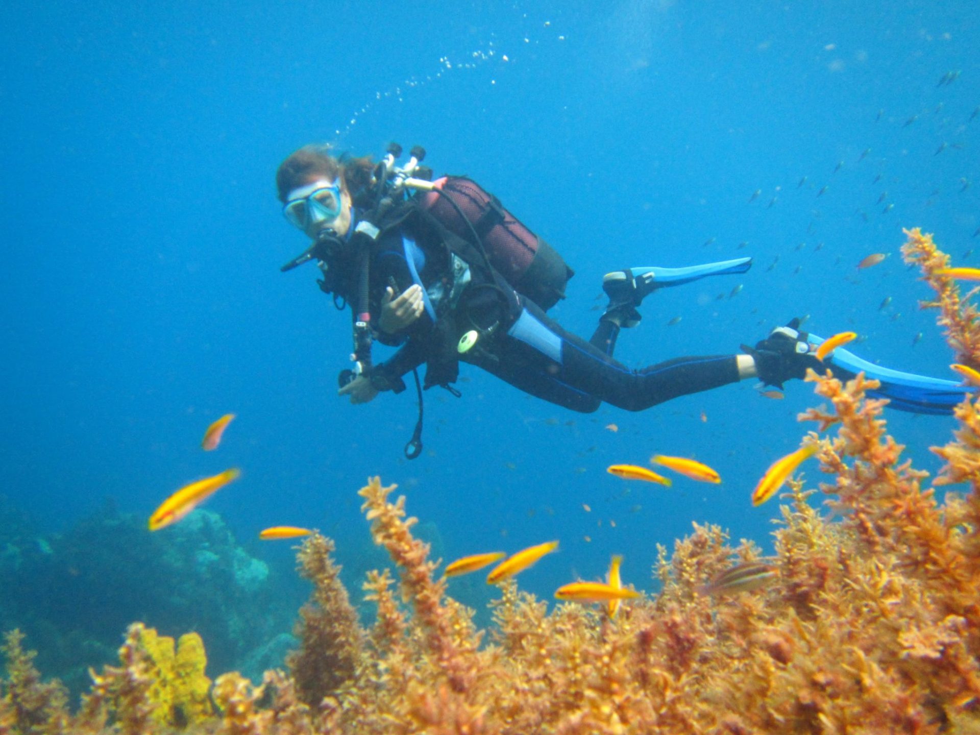 Centre de plongée Corail Club Caraïbes | Martinique Tourisme