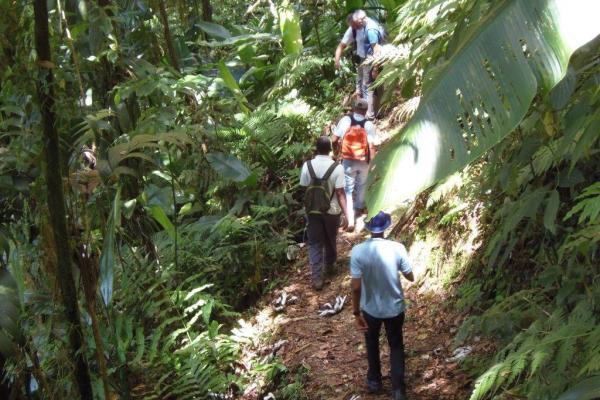 Antilles Exception | Martinique Tourisme