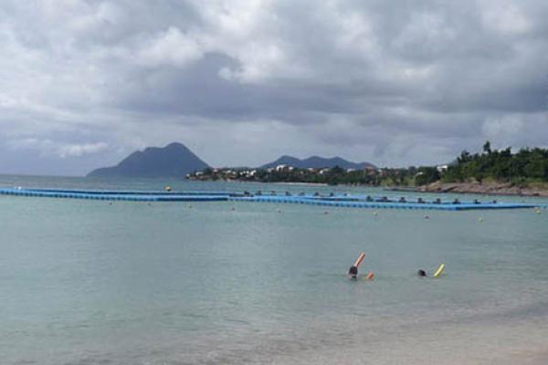 TOP 15 Must-Do Activities in Martinique