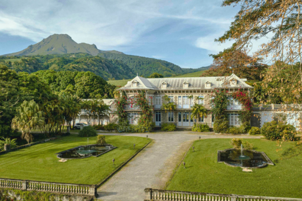 Creole in Martinique - A Rich and Authentic Language