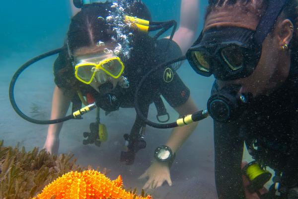 Water Sports and Activities to Discover in Martinique