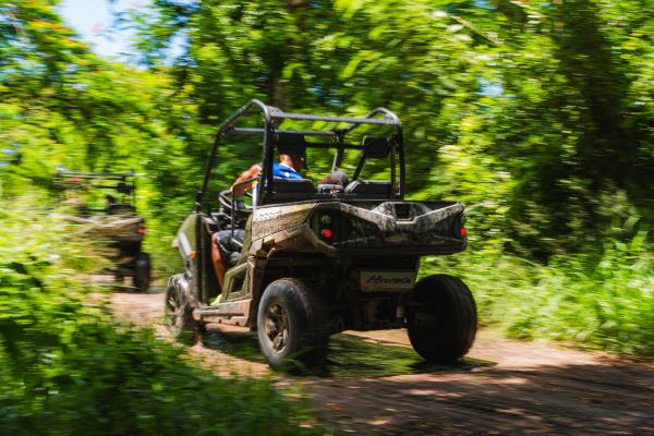 Creole in Martinique - A Rich and Authentic Language