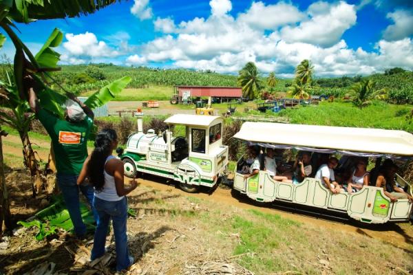 TOP 15 Must-Do Activities in Martinique