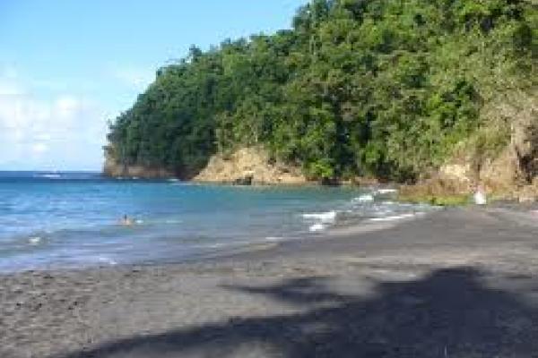TOP 15 Must-Do Activities in Martinique