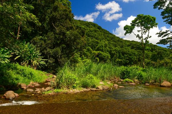 Chocolaterie Les Freres Lauzea | Martinique Tourisme