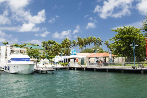 Creole in Martinique - A Rich and Authentic Language