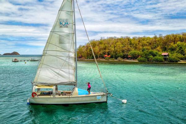 TOP 15 Must-Do Activities in Martinique