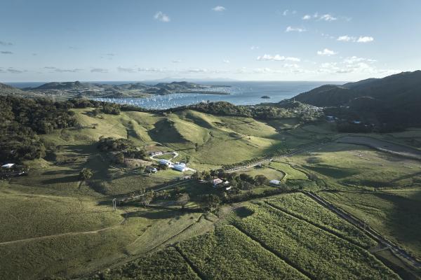 Creole in Martinique - A Rich and Authentic Language