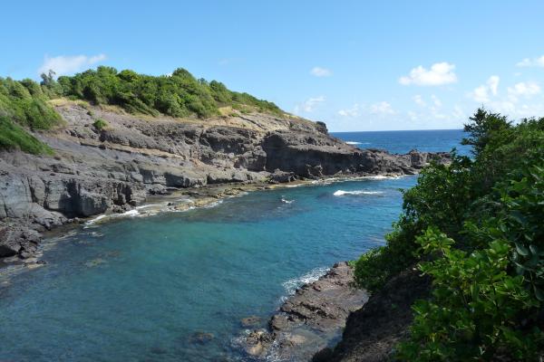 Antilles Exception | Martinique Tourisme