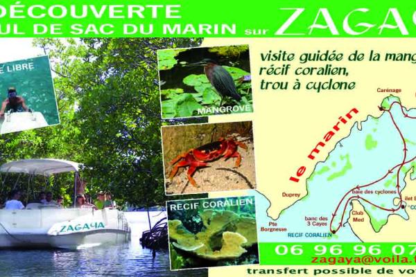 Creole in Martinique - A Rich and Authentic Language