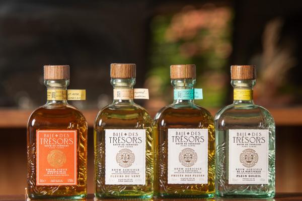 Ascension Montagne Pelée | Martinique Tourisme