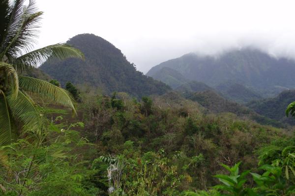 Antilles Exception | Martinique Tourisme