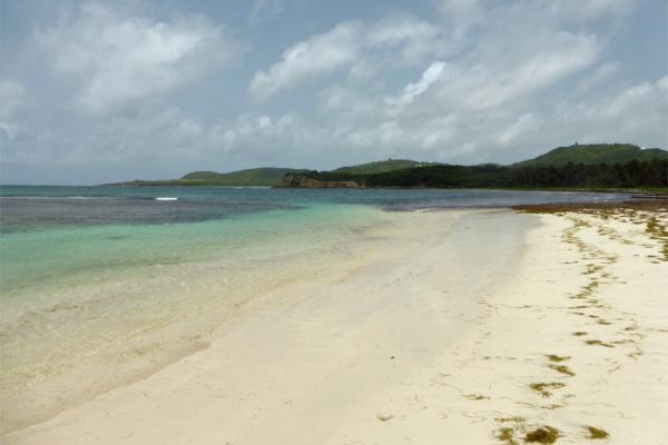 The Most Beautiful Beaches in Martinique