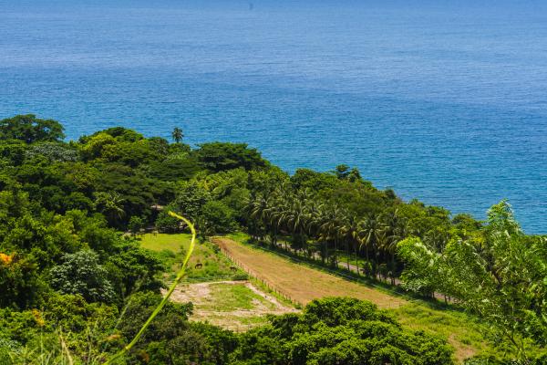 TOP 15 Must-Do Activities in Martinique