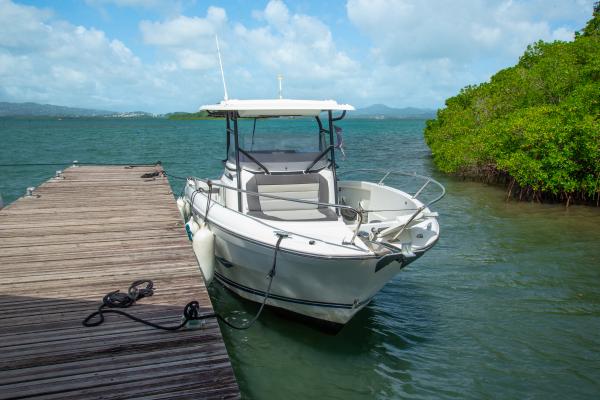 TOP 15 Must-Do Activities in Martinique