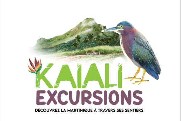 TOP 15 Must-Do Activities in Martinique