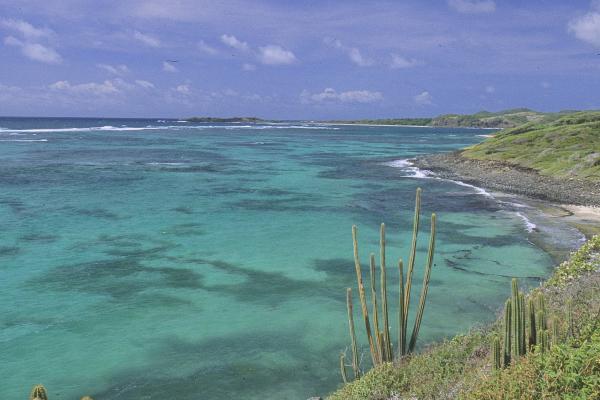 The Most Beautiful Beaches in Martinique