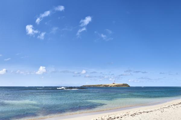 Antilles Exception | Martinique Tourisme