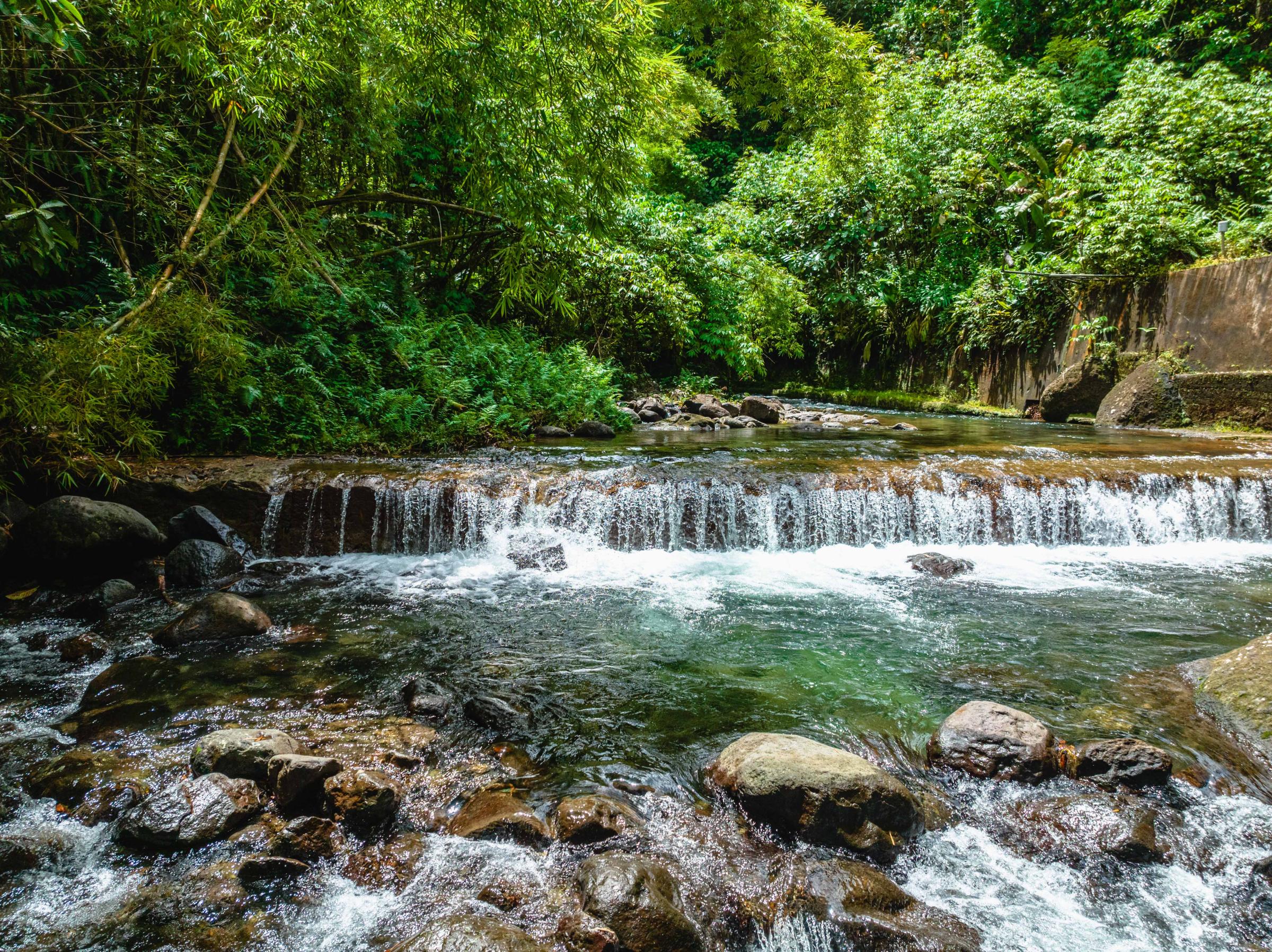 Découvrez Saint-Joseph - Commune de Martinique