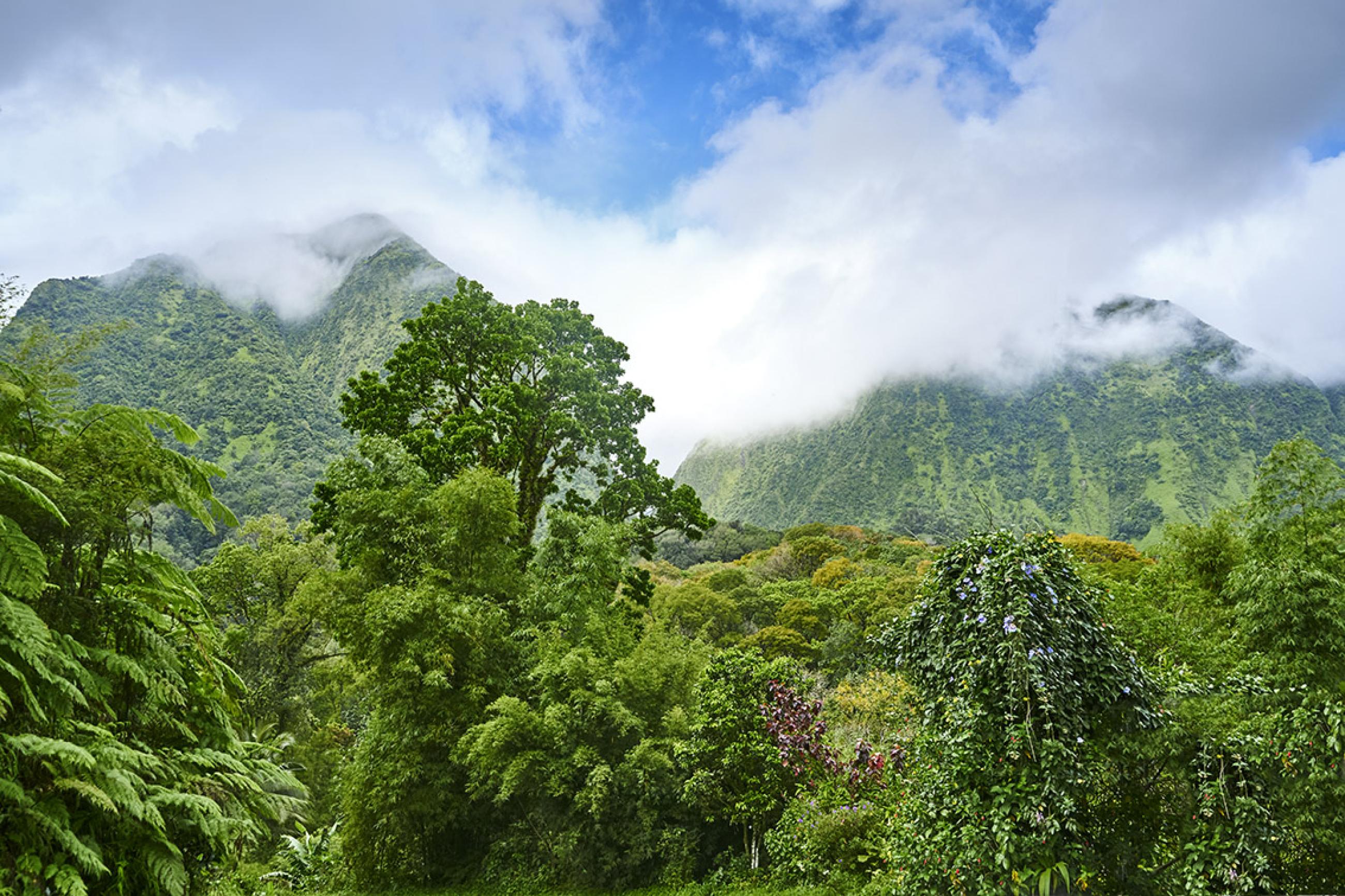 Mount Pelée - Unmissable Volcano of Martinique