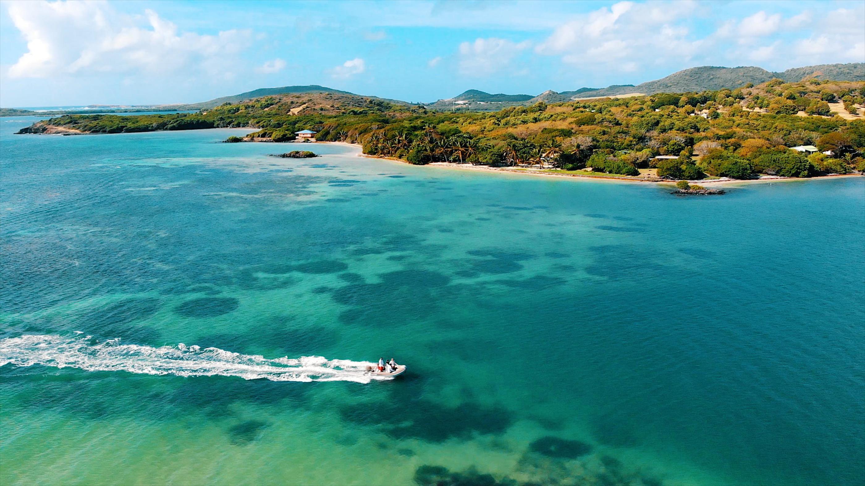 Events in Martinique | Martinique Tourisme