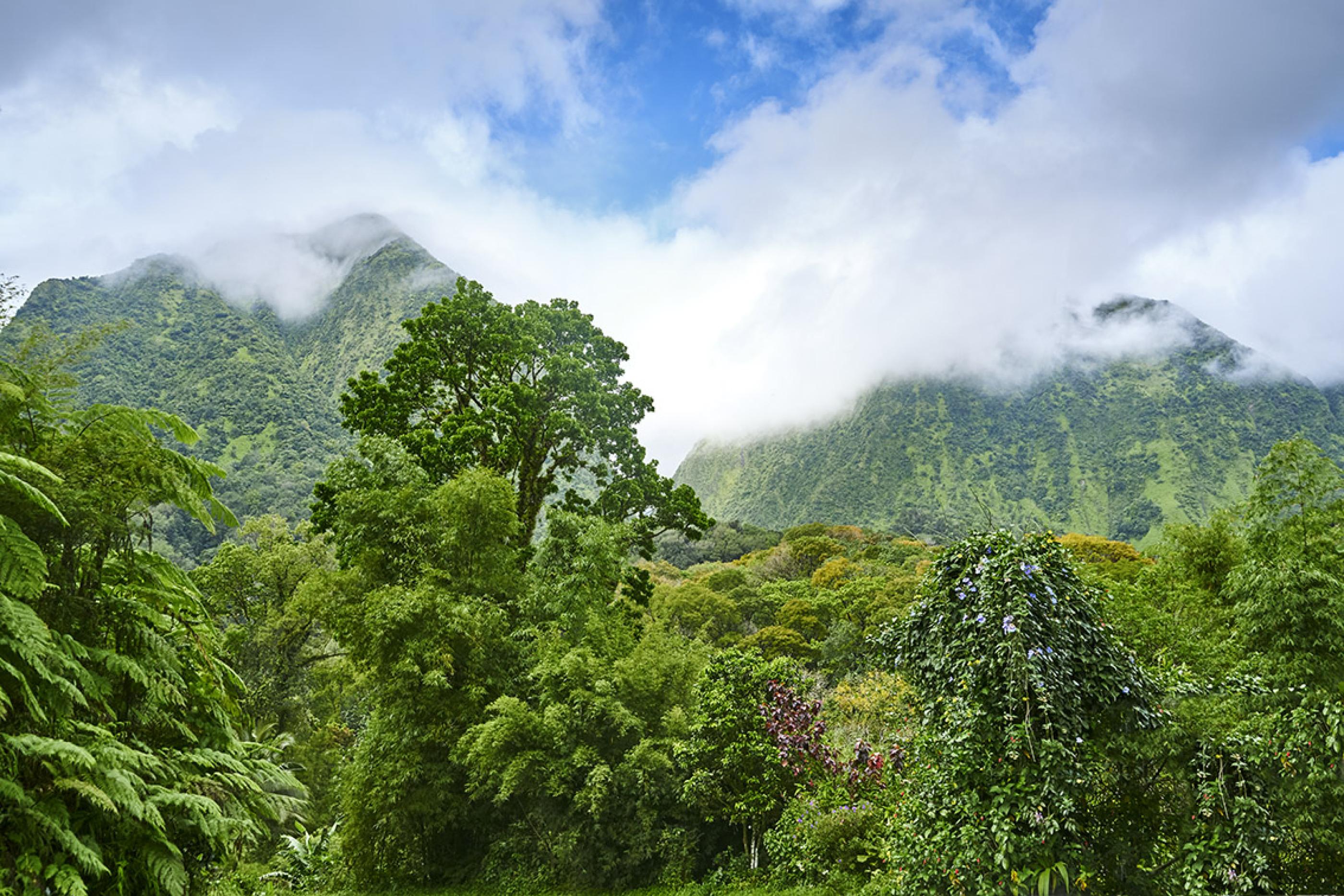 Mount Pelée - Unmissable Volcano of Martinique