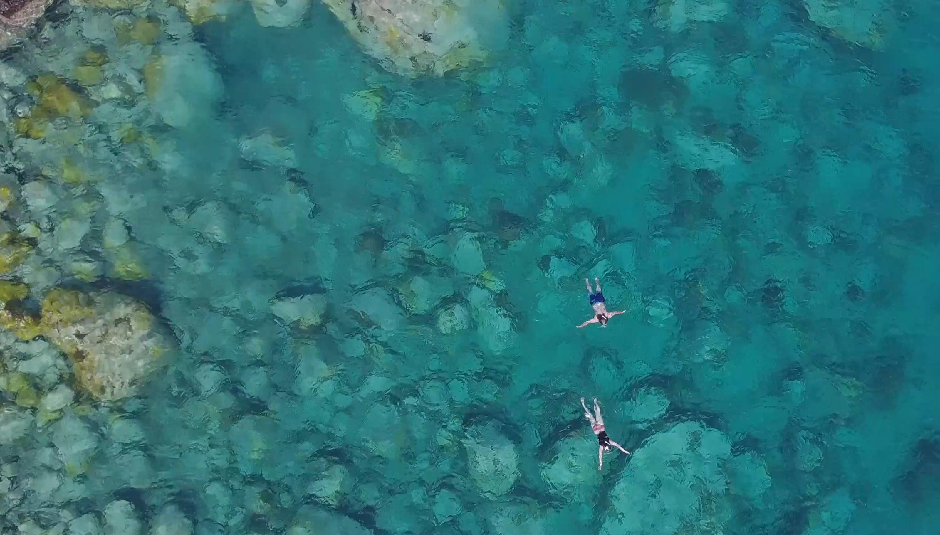 Histoire de la Martinique - Personnalités et Événements marquants