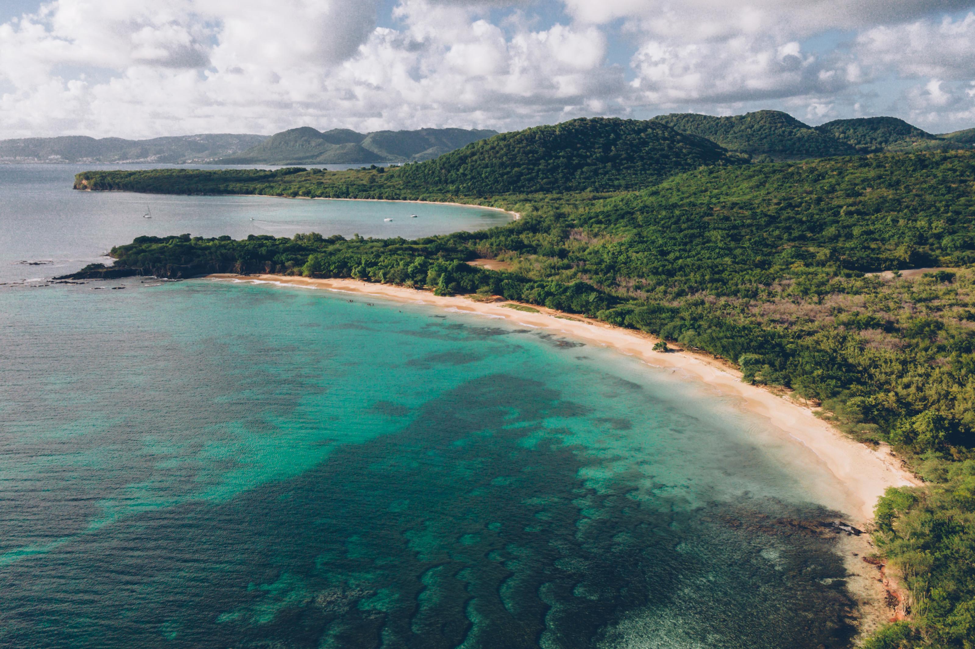 Biodiversité Martinique - Découvrez les richesses de l'île