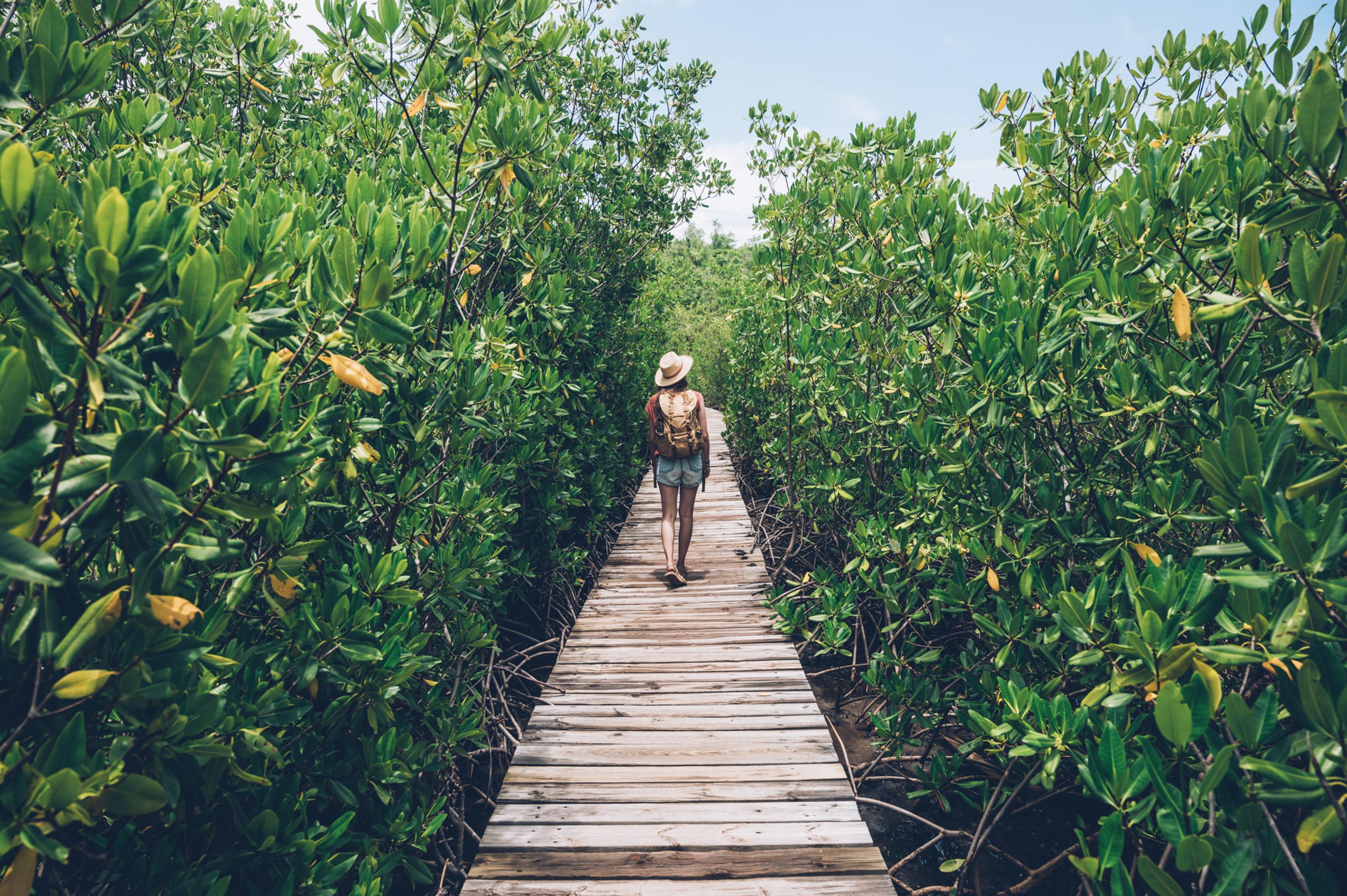 Biodiversité Martinique - Découvrez les richesses de l'île