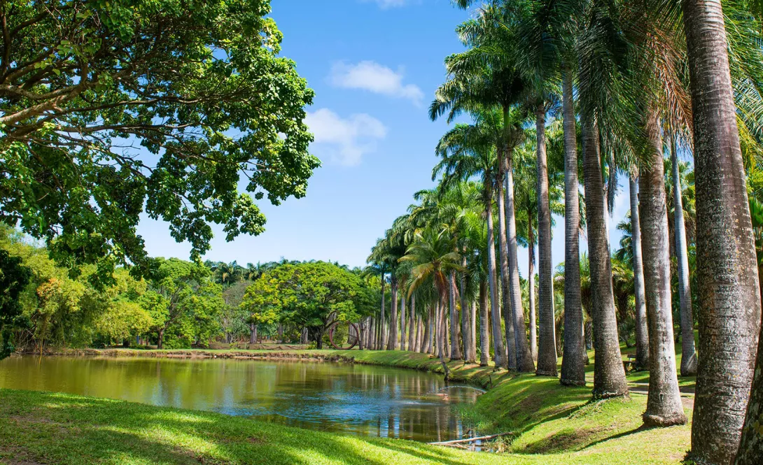 Habitation Clement | Martinique Tourisme