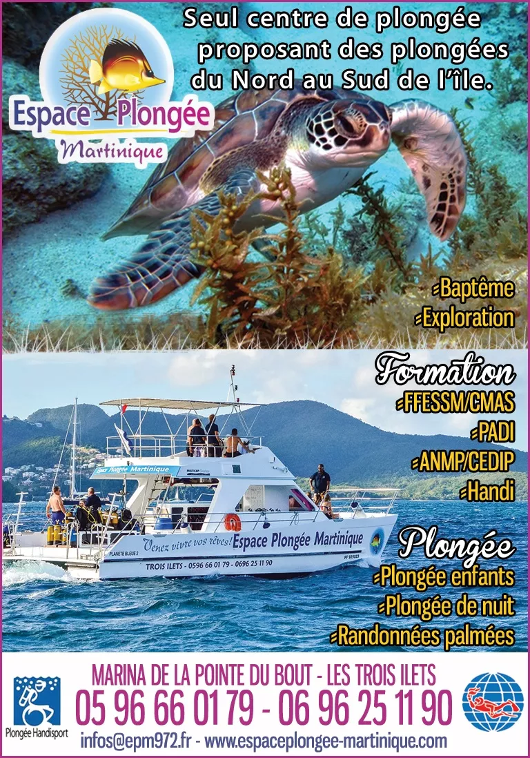 Abaca Dive - Espace Plongée Martinique | Martinique Tourisme